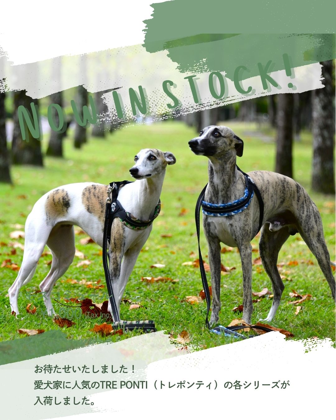 TRE PONTIの各シリーズのご紹介＆TRE PONTI在庫切れになっていた商品が入荷しました！ - LUXCOLLE