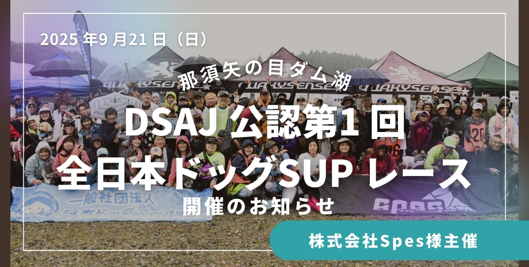 2025年9月21日(日) DSAJ 公認第1 回全日本ドッグSUP レース開催！ - LUXCOLLE ONLINESTORE（ラグコレ ...