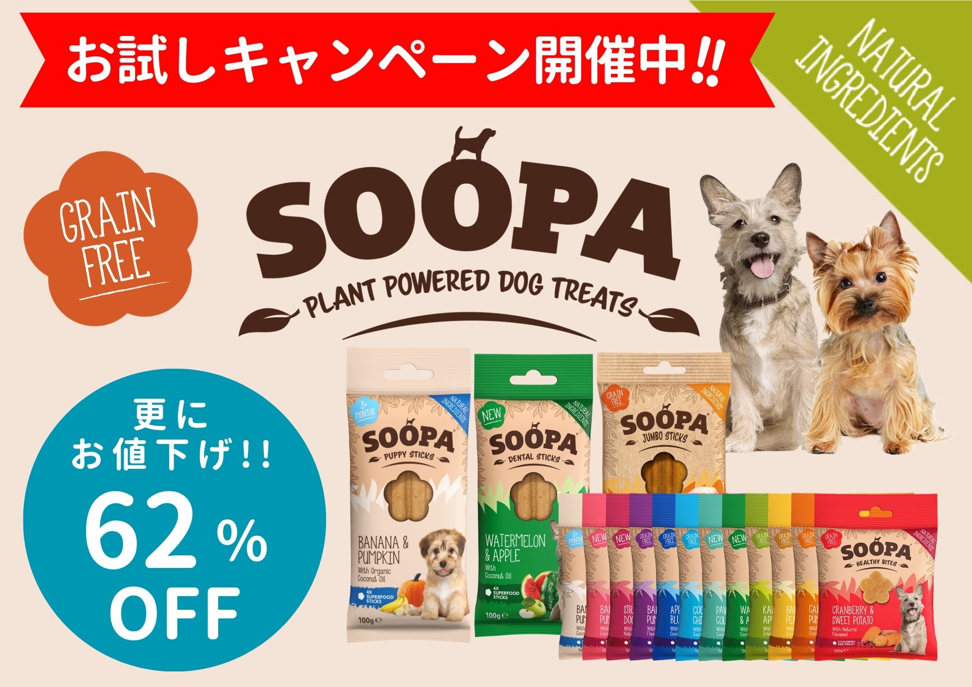 大好評！SOOPA（スーパ）お試しキャンペーン開催！！ - LUXCOLLE ONLINESTORE（ラグコレオンラインストア）